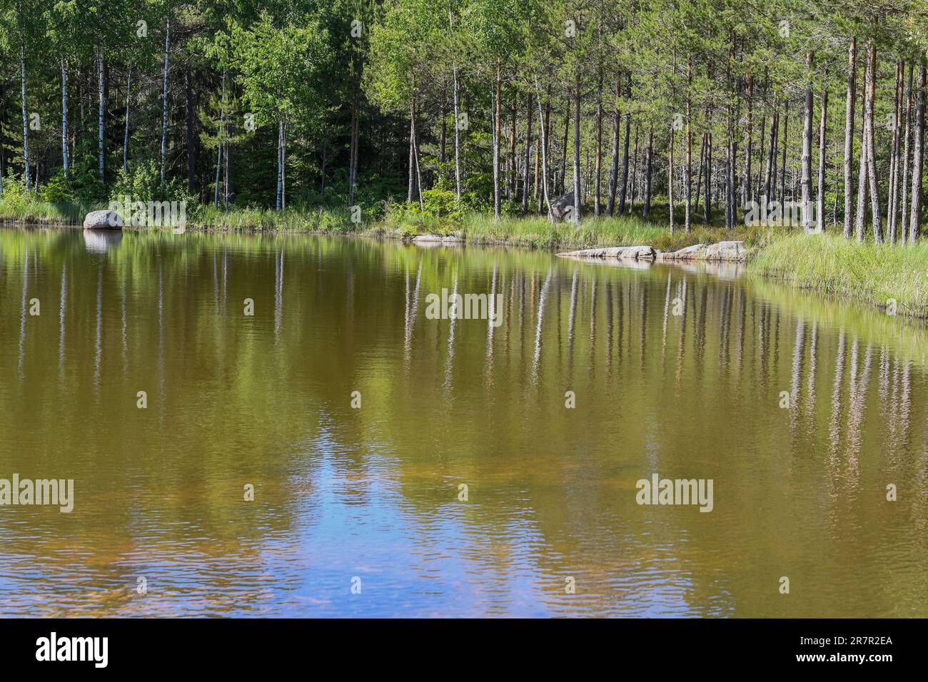 Peaceful pond reflections in water hi-res stock photography and images ...