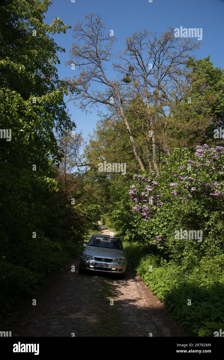 Some single lane country road is connecting tiny village Briesen in ...