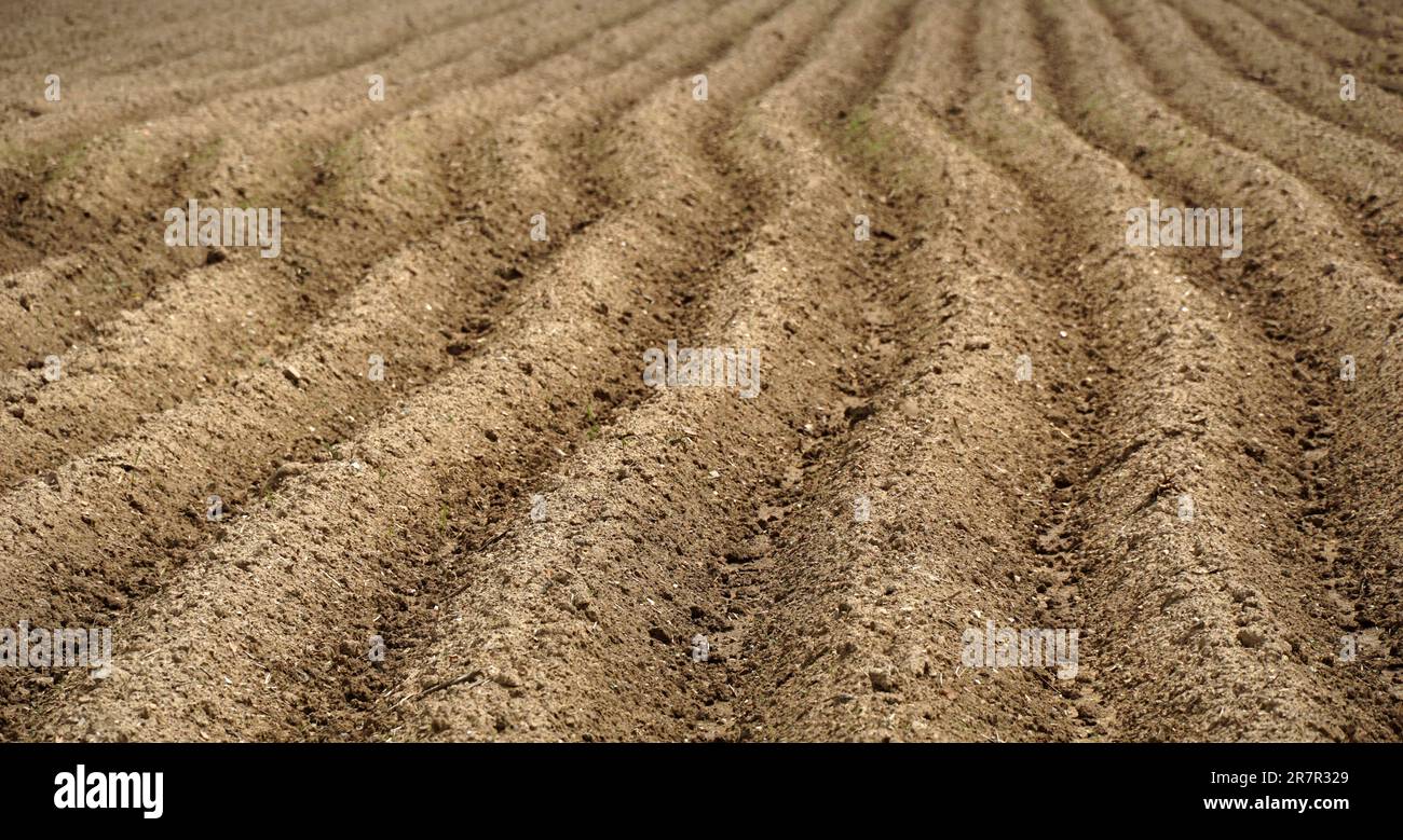 Ploughing a straight furrow hi-res stock photography and images - Alamy