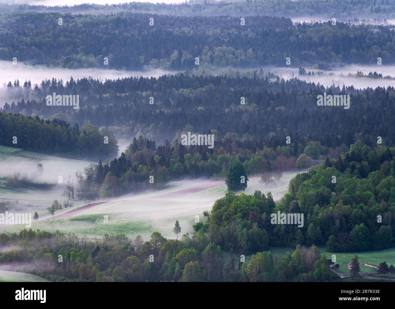 Fog scenery hi-res stock photography and images - Alamy