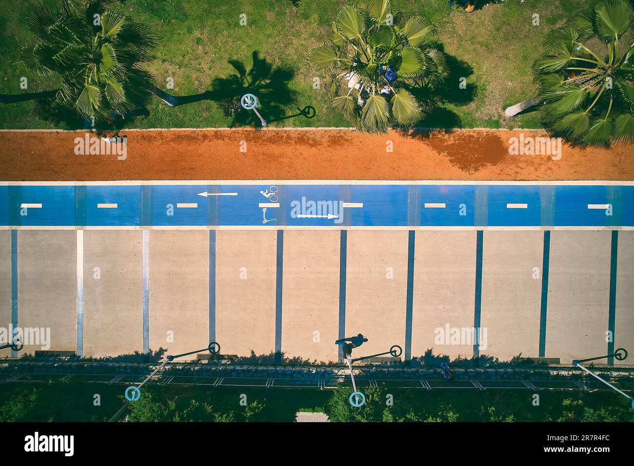 Bike path and walkway on the embankment. Top down aerial view of palm ...