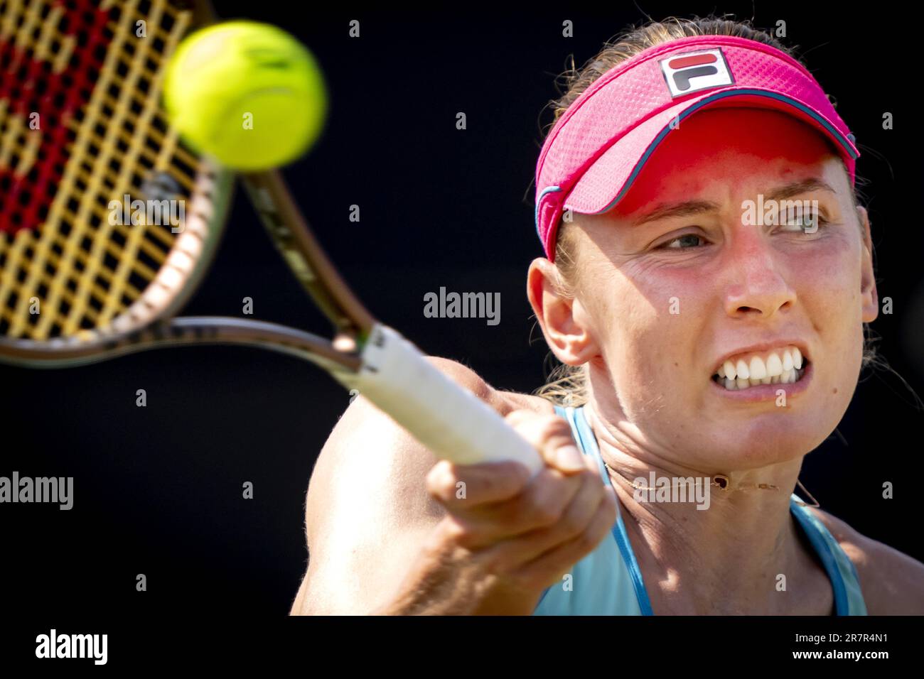 Libema open kingphotography hi-res stock photography and images - Alamy