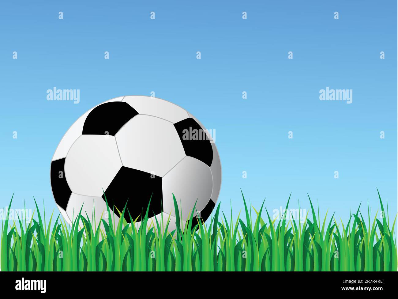 Close up green grass in Stock Vector Images - Alamy
