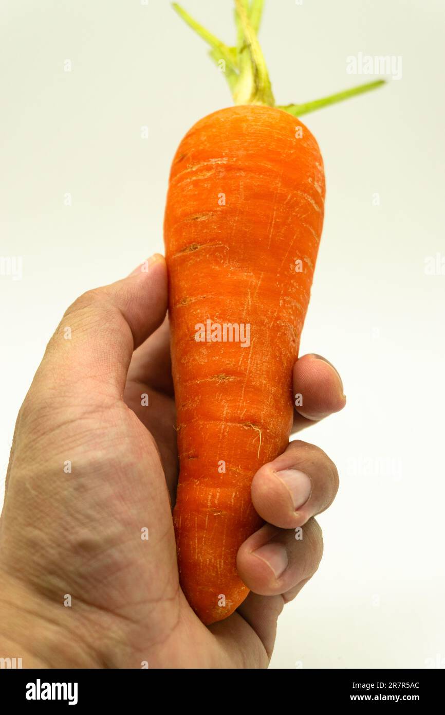 Carrot skin hi-res stock photography and images - Alamy