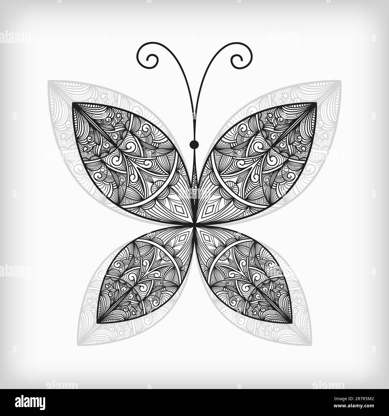 Detailed monochrome vector line hi-res stock photography and images - Alamy