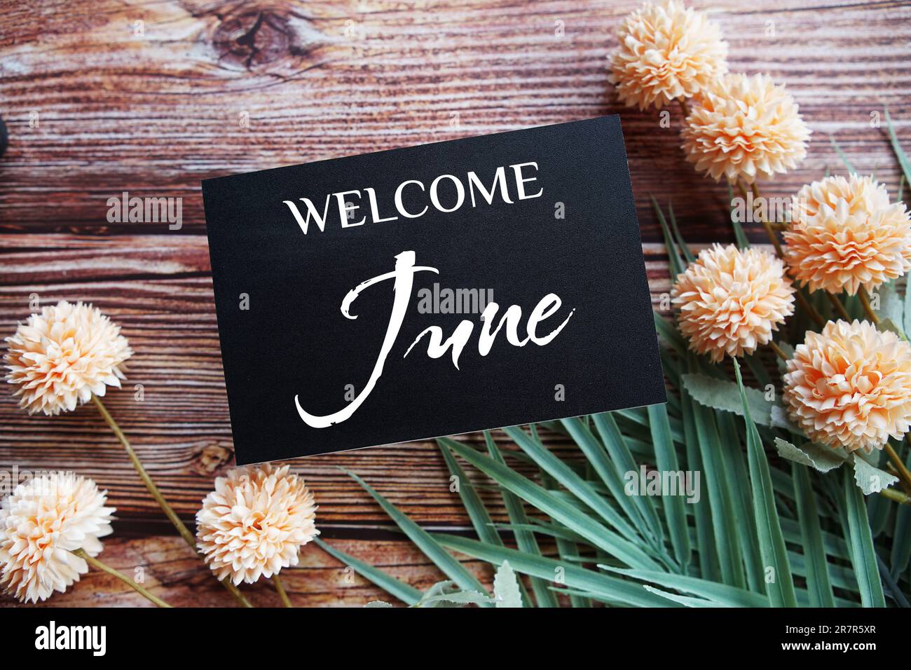 Welcome june banner word hi-res stock photography and images - Alamy