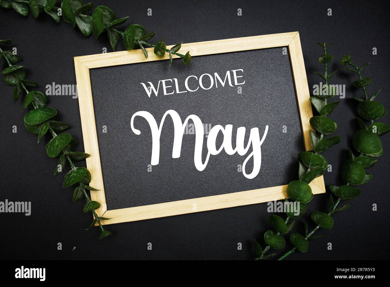 Welcome May text message on wooden blackboard with green leaf ...