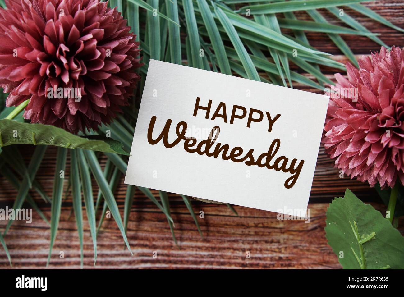 Happy Wednesday text message with flower decoration on wooden ...