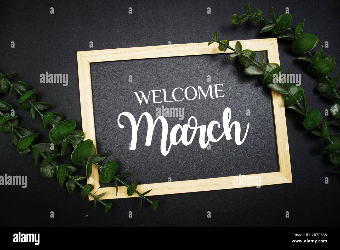 Welcome March text message on wooden blackboard with green leaf ...