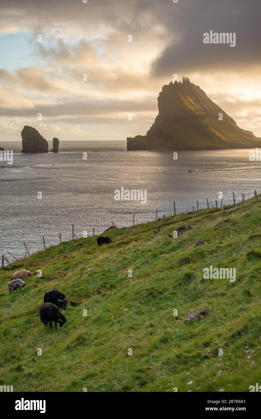 Bour, Vagar, Faroe Islands Stock Photo - Alamy