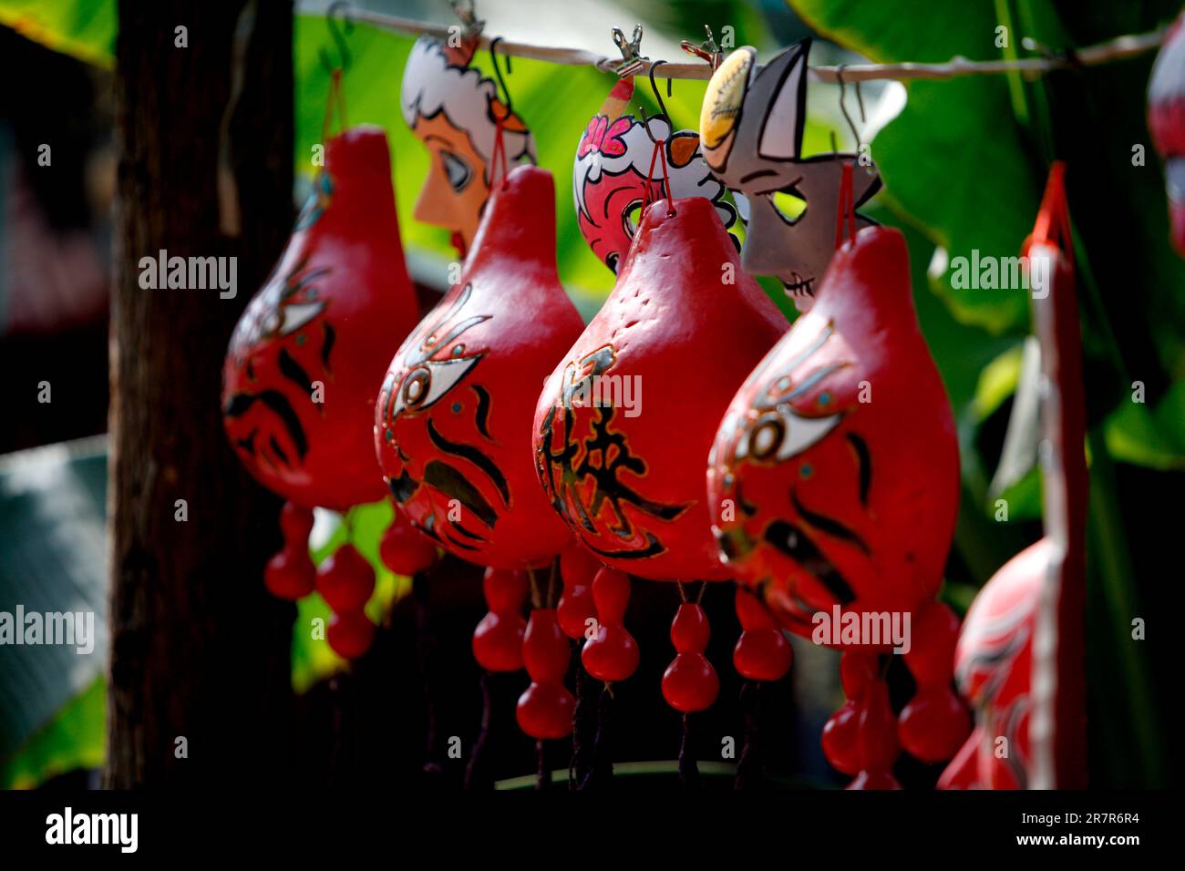 Chinese silk tree hi-res stock photography and images - Alamy