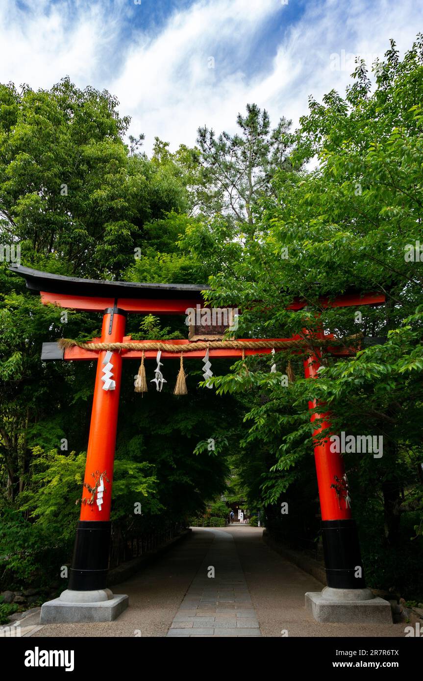 An orange torii gate stands amongst a lush backdrop of trees, framing a ...