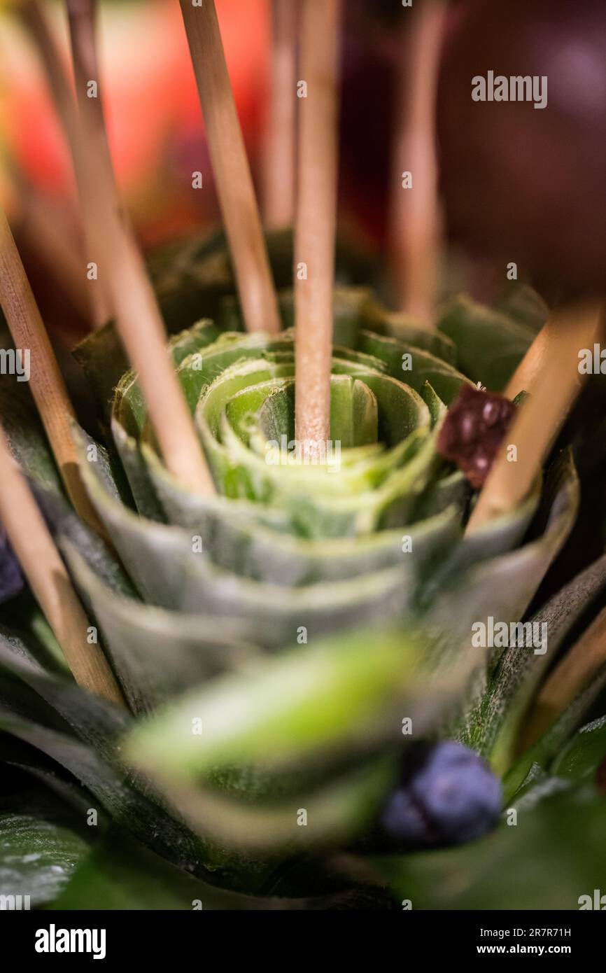 Featuring multiple green leaves hi-res stock photography and images - Alamy