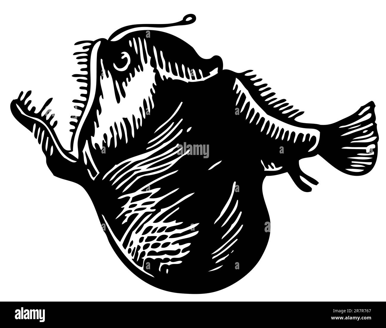 Leftvent anglerfish isolated on white Stock Vector Image & Art - Alamy