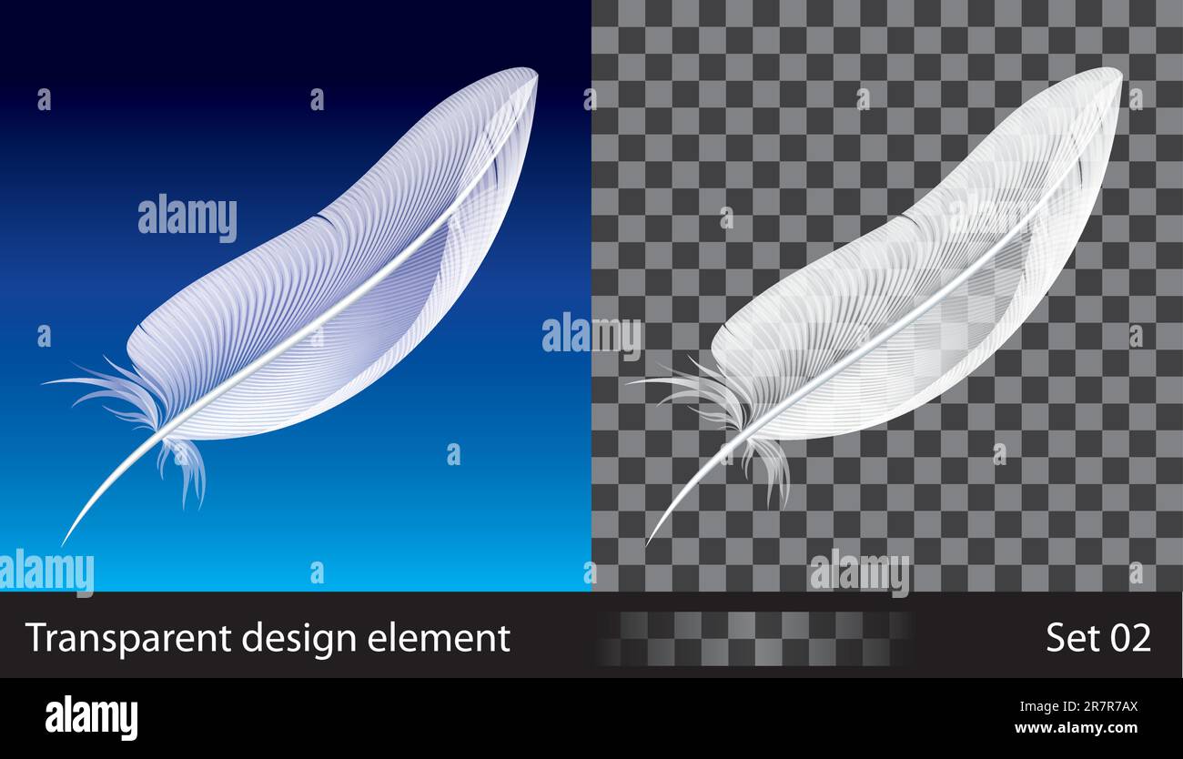 Feather, vector illustration with transparent effect. EPS (10) file ...