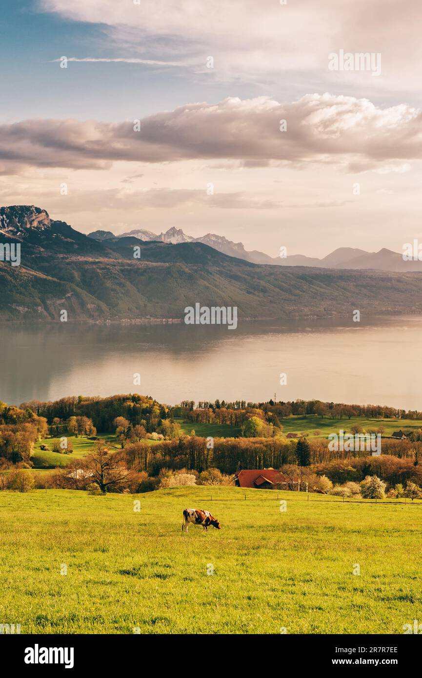 Top view on lake Geneva, Switzerland on a nice sunny day Stock Photo ...