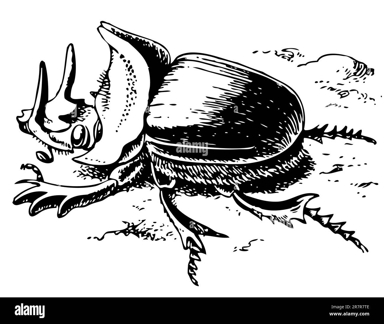 Or isis Stock Vector Images - Alamy