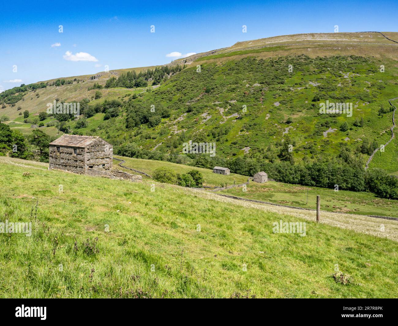 A classic view of Swaledale Stock Photo - Alamy
