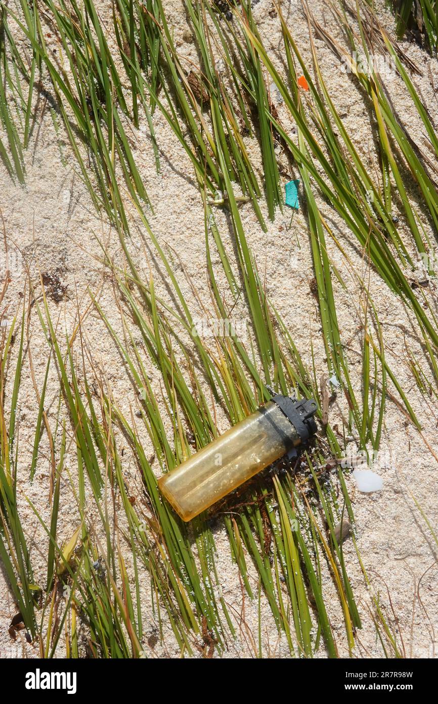 Plastic waste, beach, Mauritius Stock Photo - Alamy