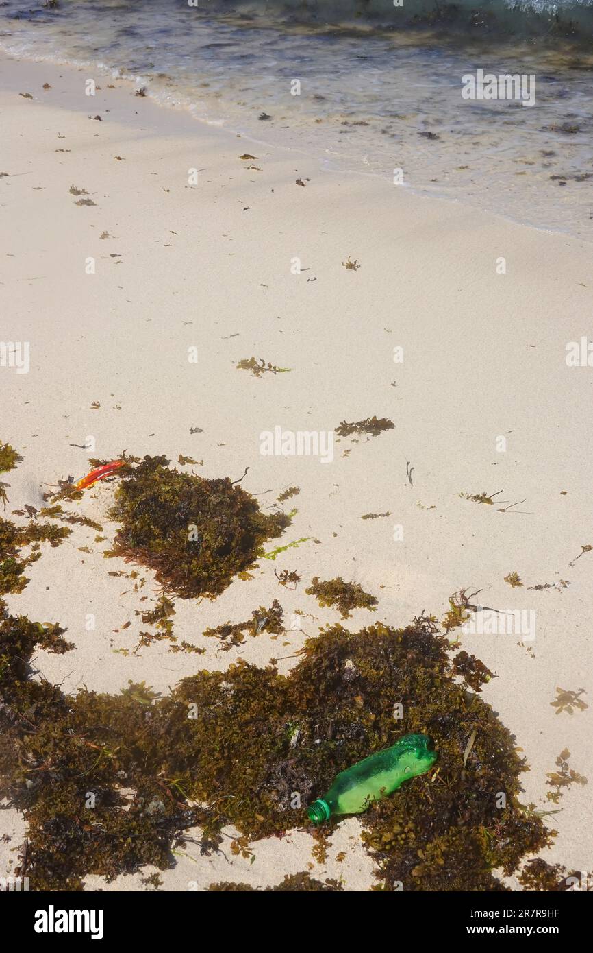 Plastic waste, plastic bottle, beach of Mauritius Stock Photo - Alamy