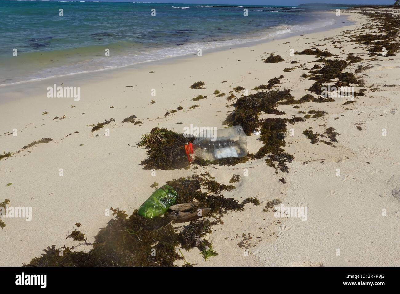 Plastic waste, plastic bottle, beach of Mauritius Stock Photo - Alamy