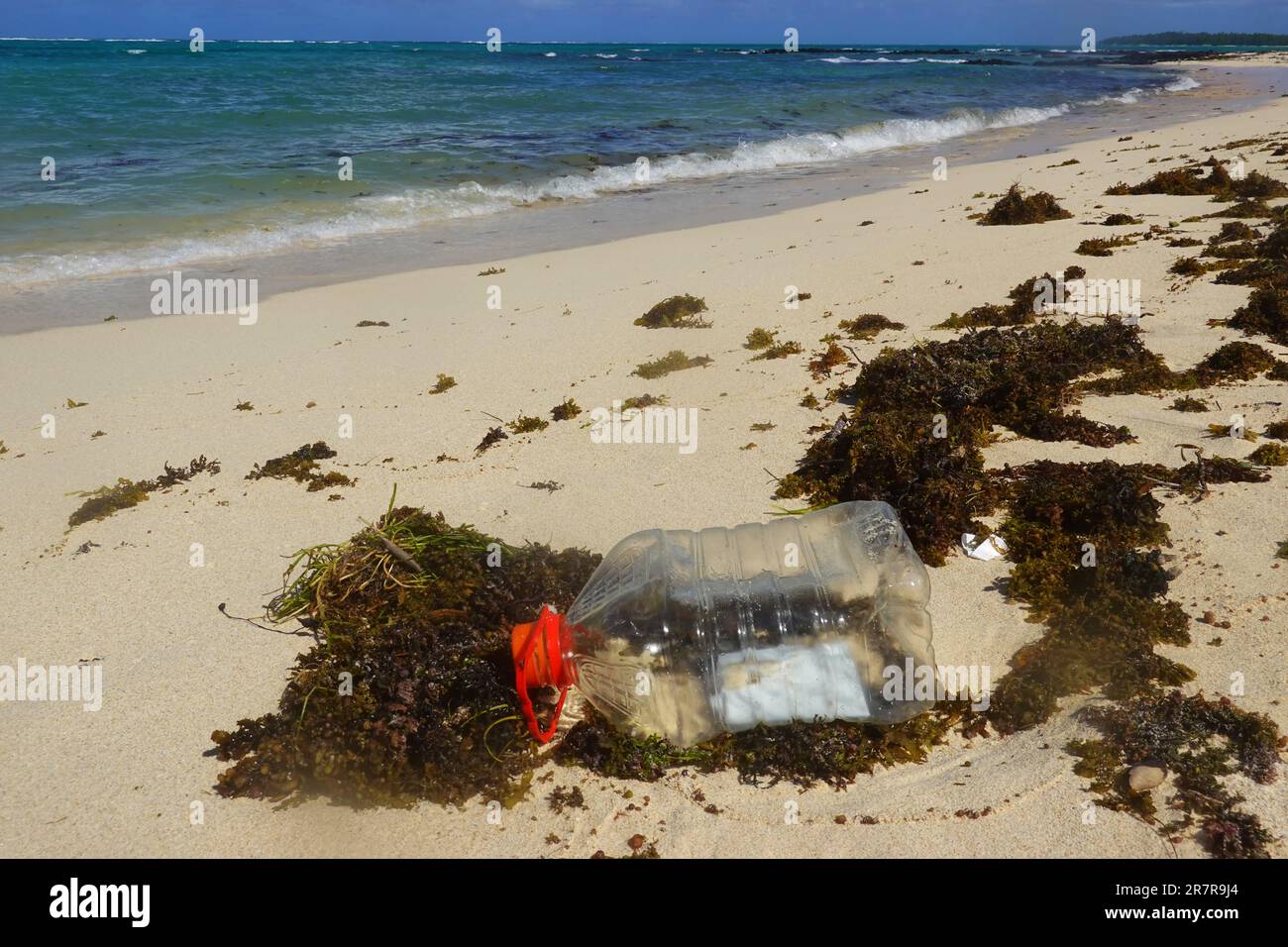 Plastic waste plastic bottle hi-res stock photography and images - Alamy