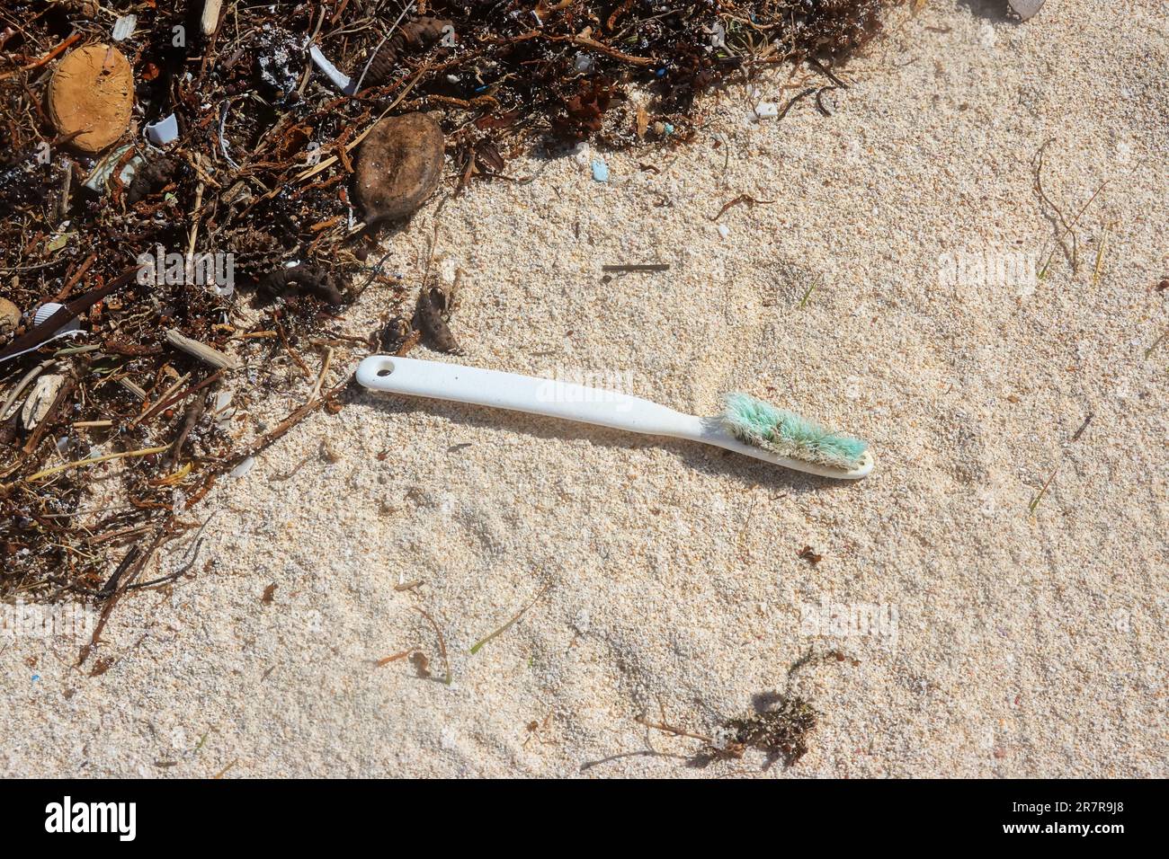 Plastic waste, toothbrush, beach of Mauritius Stock Photo - Alamy