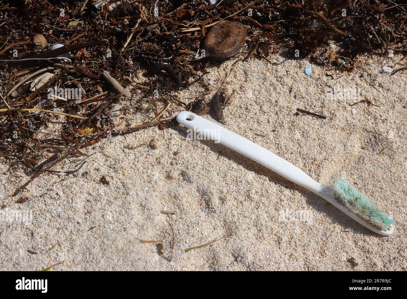 Plastic waste, toothbrush, beach of Mauritius Stock Photo - Alamy