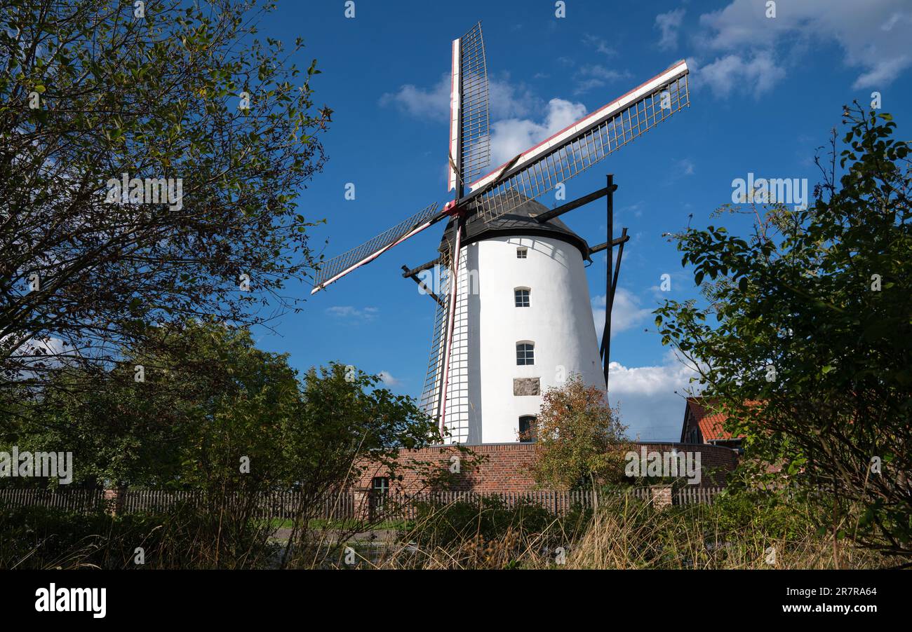 Kaarst buettgen hi-res stock photography and images - Alamy