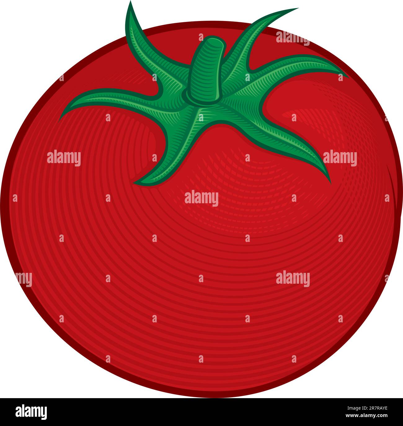 Red ripe tomato icon with woodcut shading isolated on white background ...