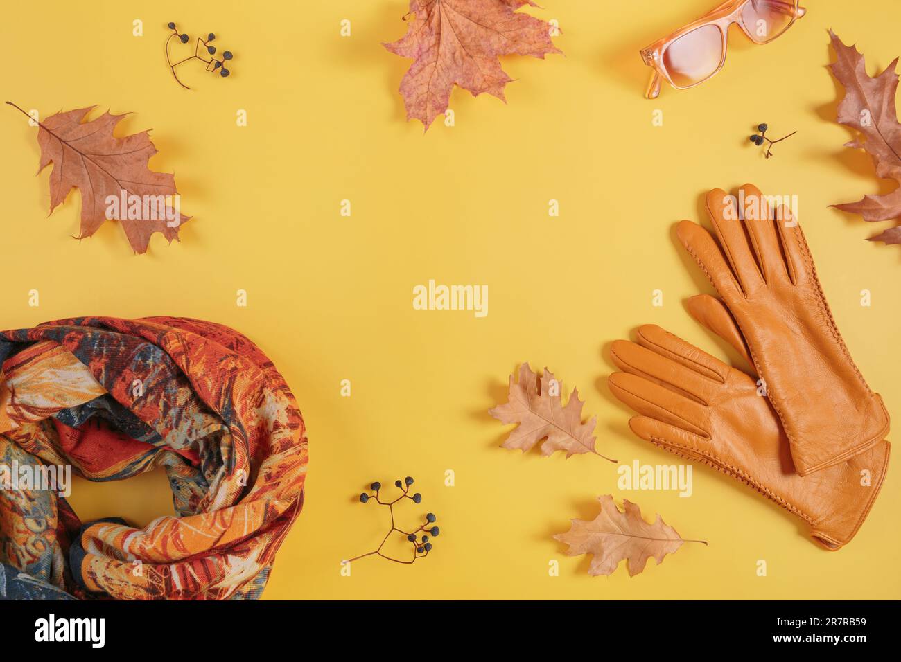 Flat lay with collection of autumn women's accessories Stock Photo - Alamy