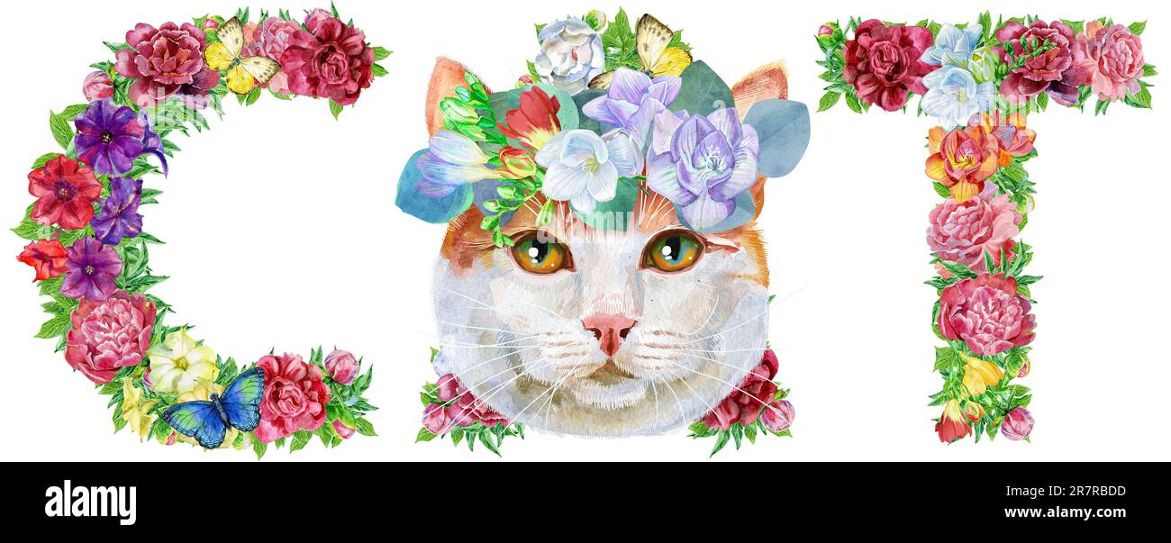 Word CAT of watercolor flowers, isolated hand drawn on a white ...