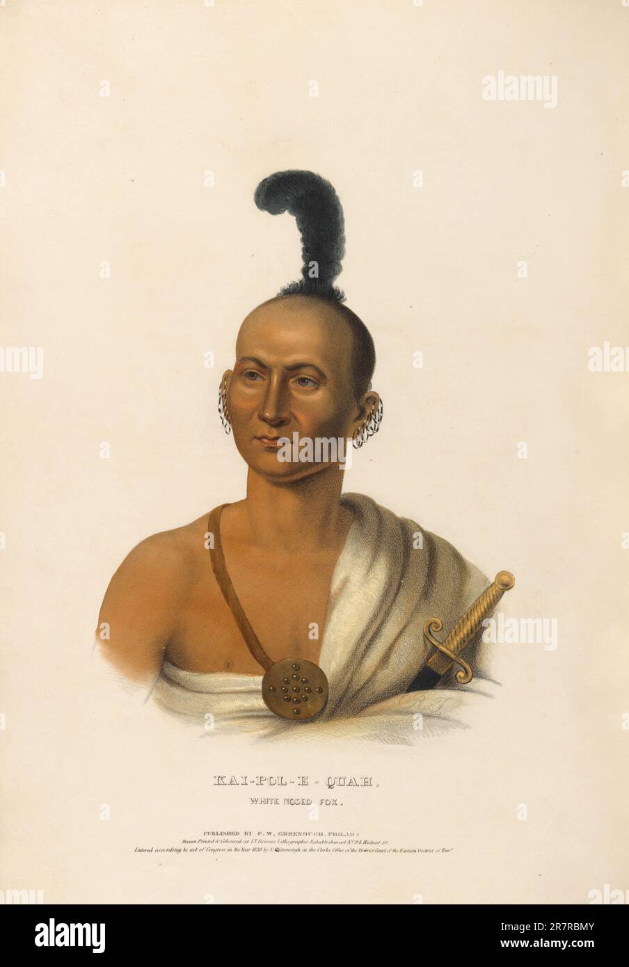 Kai-pol-e-qua - White Nosed Fox 1838 Stock Photo - Alamy