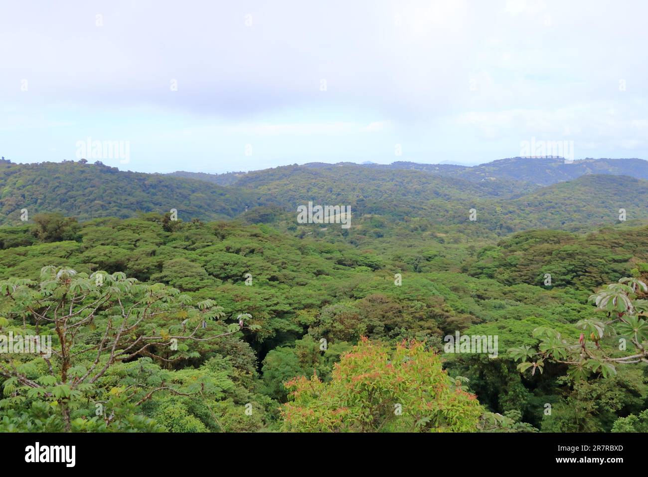 aerial photo of monteverde national park in costa rica, famous cloud ...