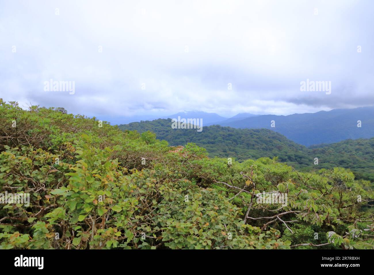 aerial photo of monteverde national park in costa rica, famous cloud ...