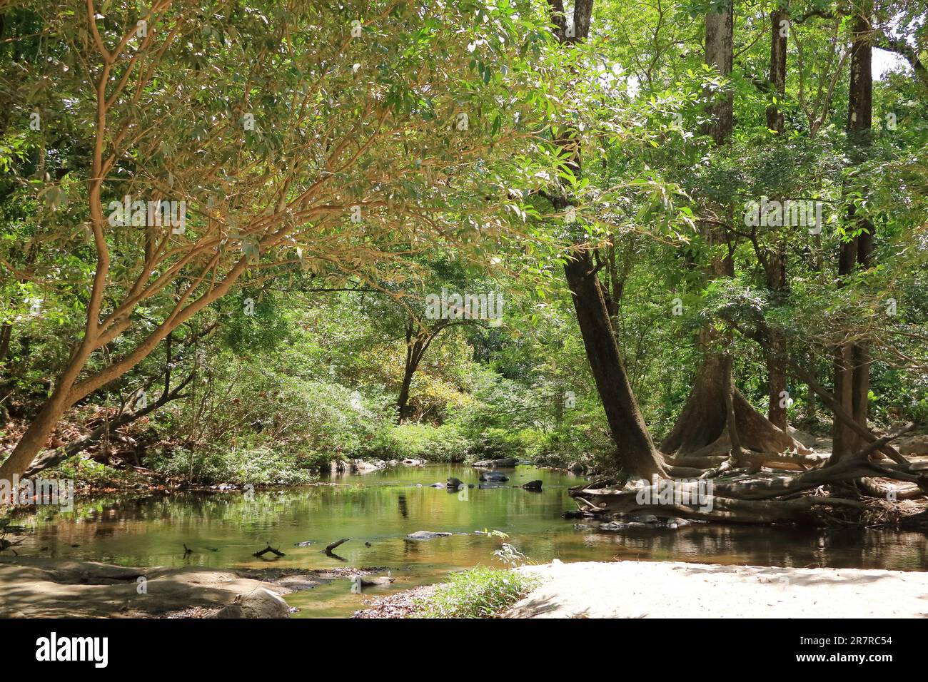 a view of the idyllic Llano de Cortes waterfall near Bagaces, Costa ...