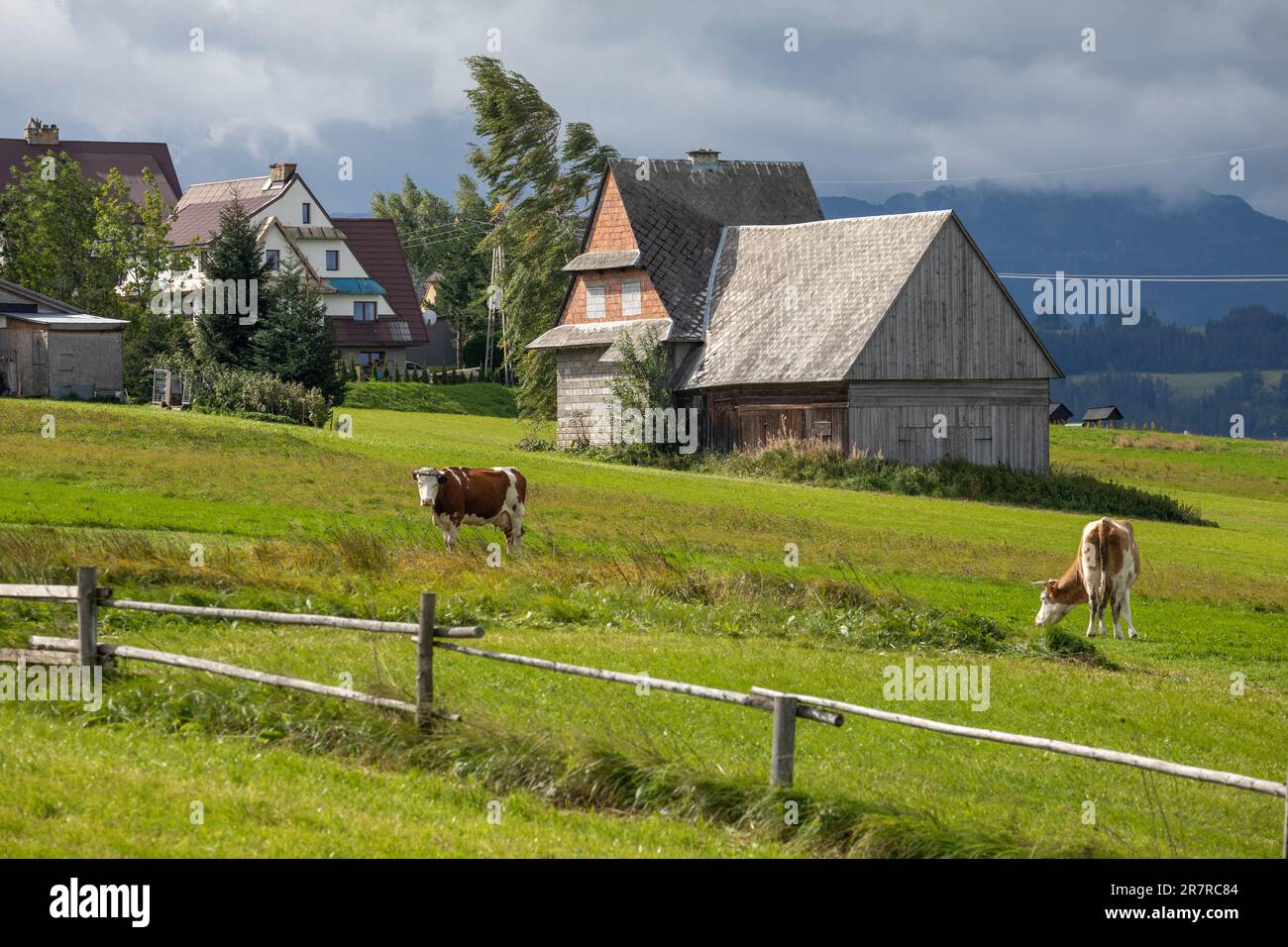 Zab, poland hi-res stock photography and images - Alamy
