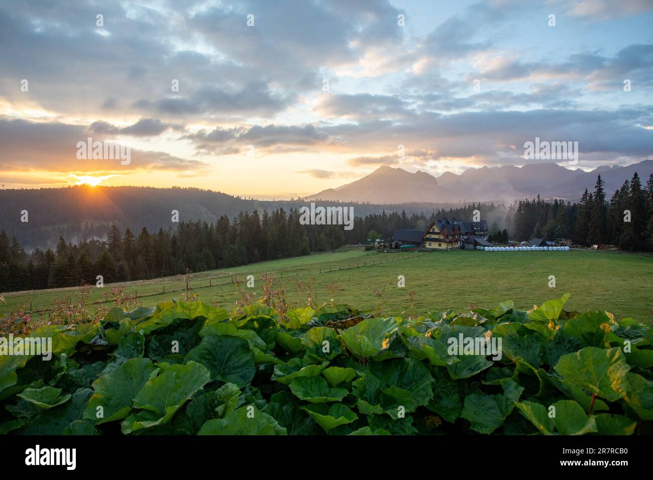 Male podhale hi-res stock photography and images - Alamy