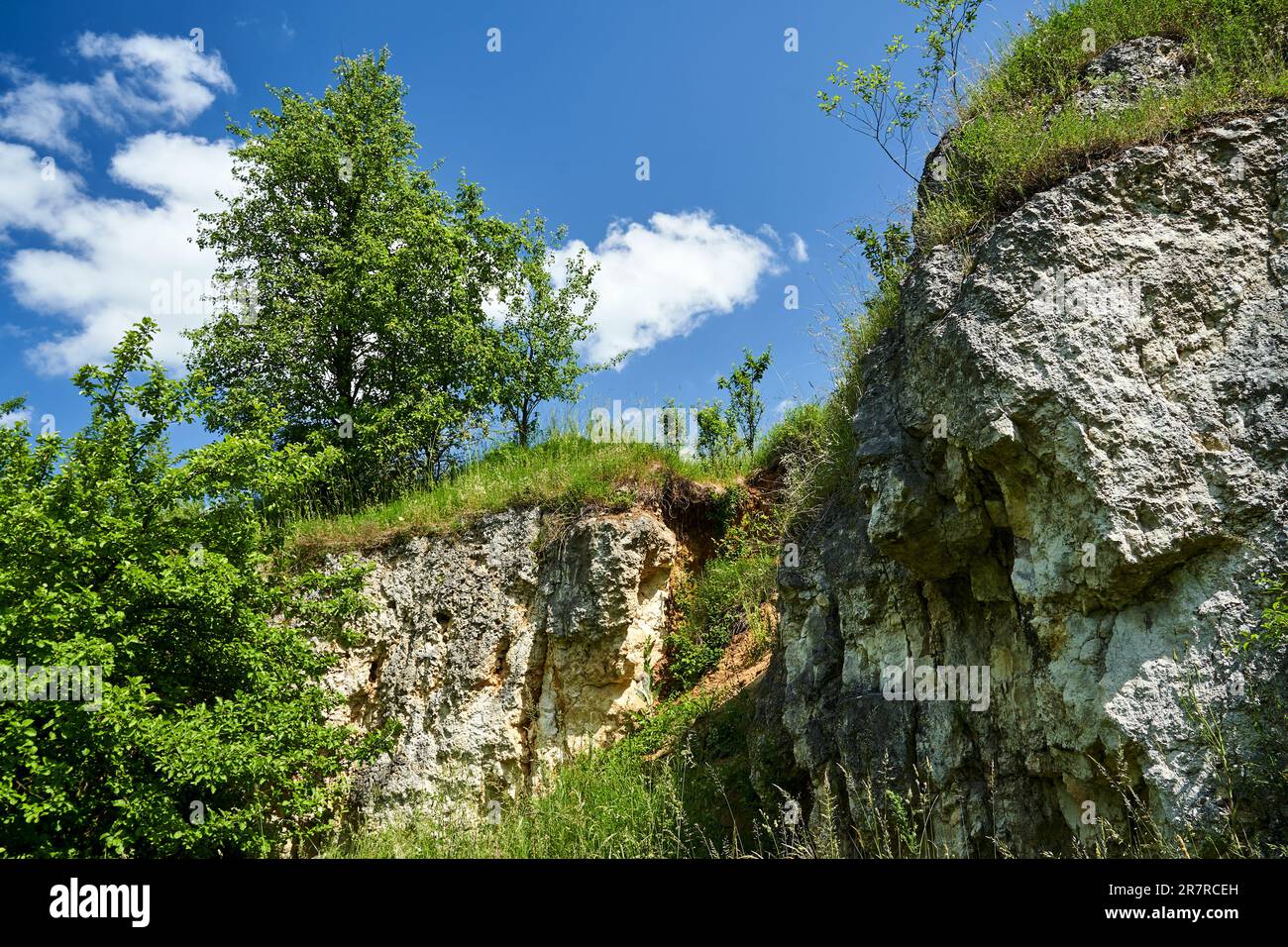 Limestone rocks of an old quarry overgrown with trees and bushes in ...