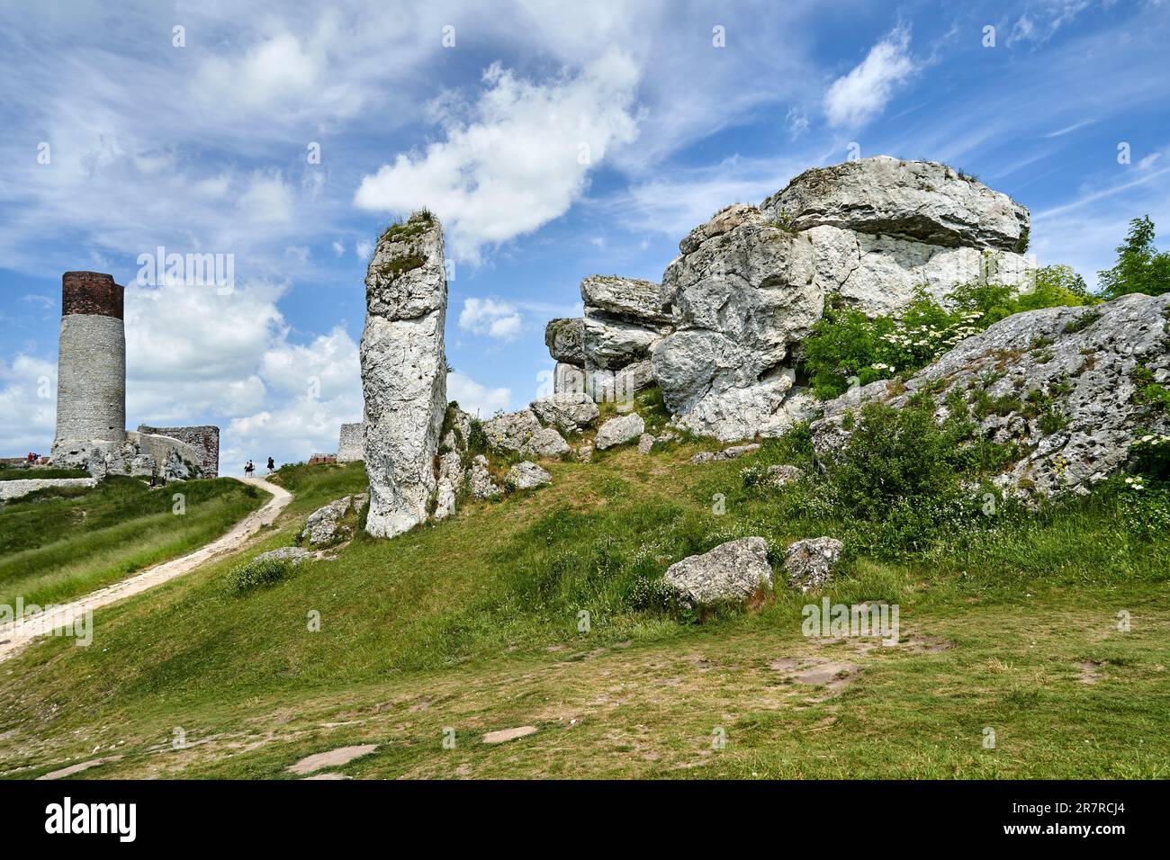 Limestone rocks and ruins of a medieval castle with a tower in Olsztyn ...