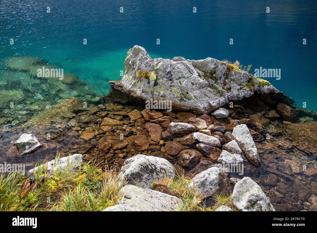 Czarny staw hi-res stock photography and images - Alamy