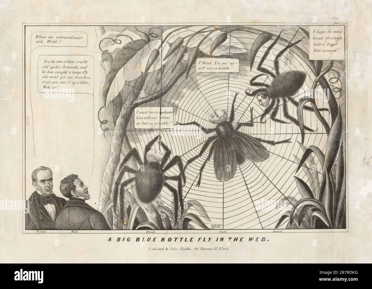 Big Blue Bottle Fly in the Web 1852 Stock Photo - Alamy