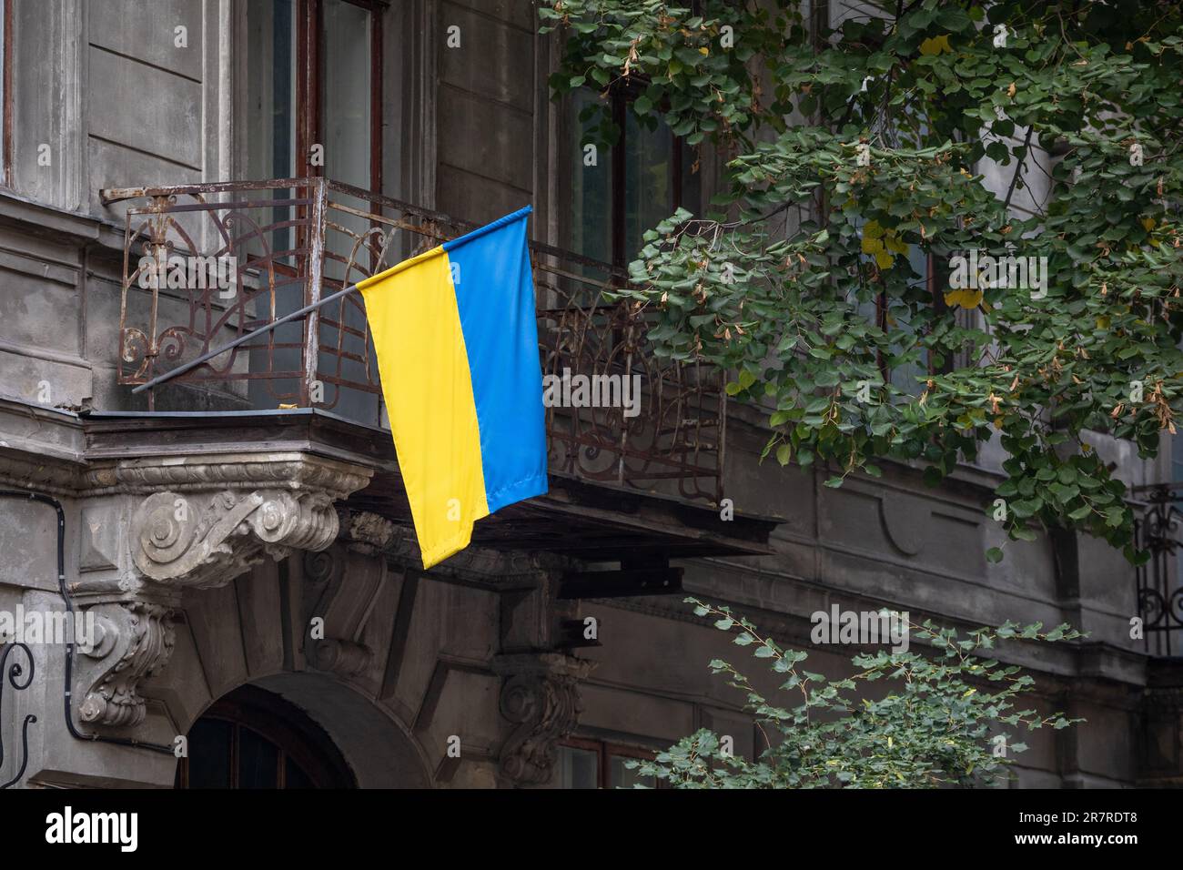 Flag of lviv hi-res stock photography and images - Alamy