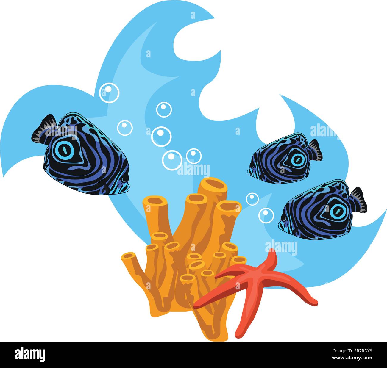 Marine underwater wild Cut Out Stock Images & Pictures - Alamy