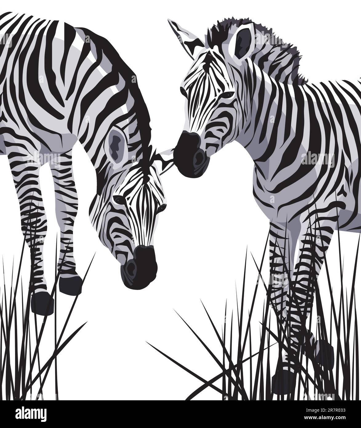 African zebra illustration hi-res stock photography and images - Alamy