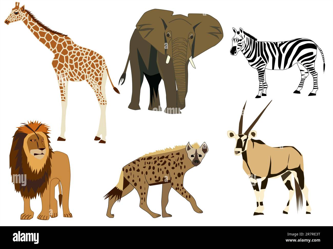 Hyena and zebra Stock Vector Images - Alamy