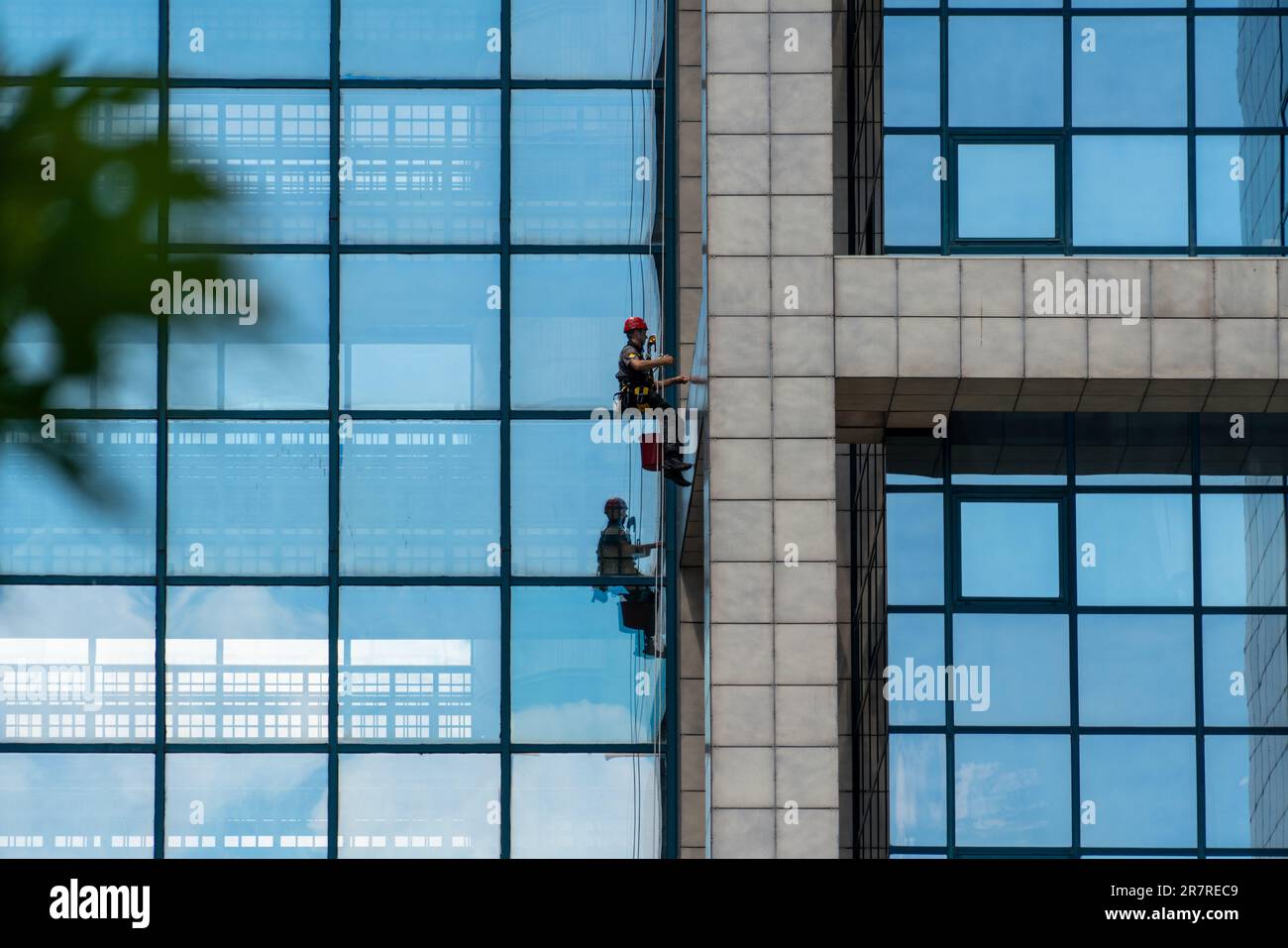 Window cleaner hanging on rope and clean windows and walls of facade of ...