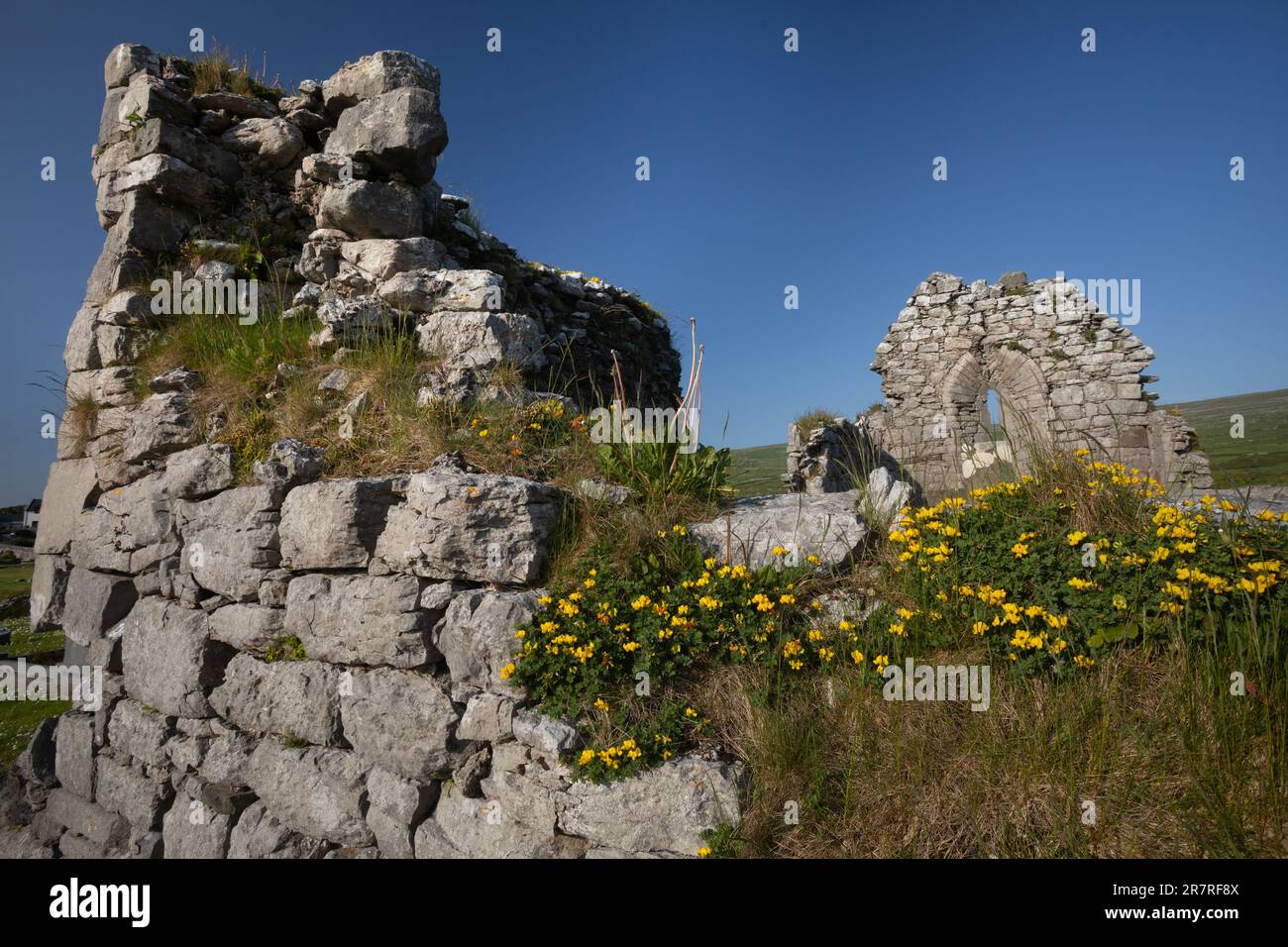 Church cemetery ruins county clare hi-res stock photography and images ...