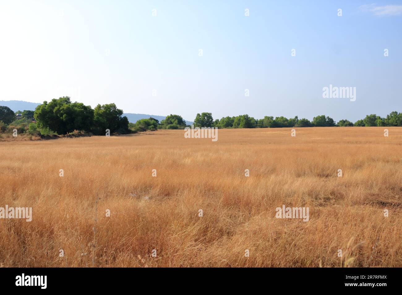 The beautiful Madayipara, is a flat topped hillock located in the ...