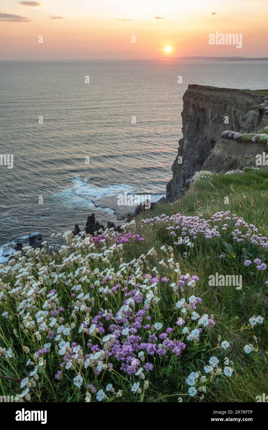 Cliffs of Moher, County Clare, Ireland Stock Photo - Alamy